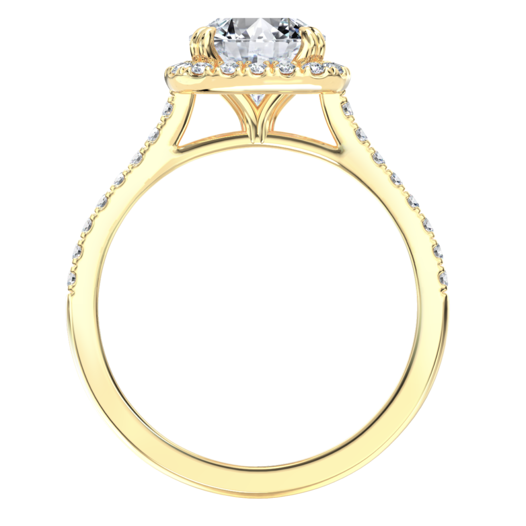 Bianca True Winner in Timeless Style Engagement Ring - Astiri